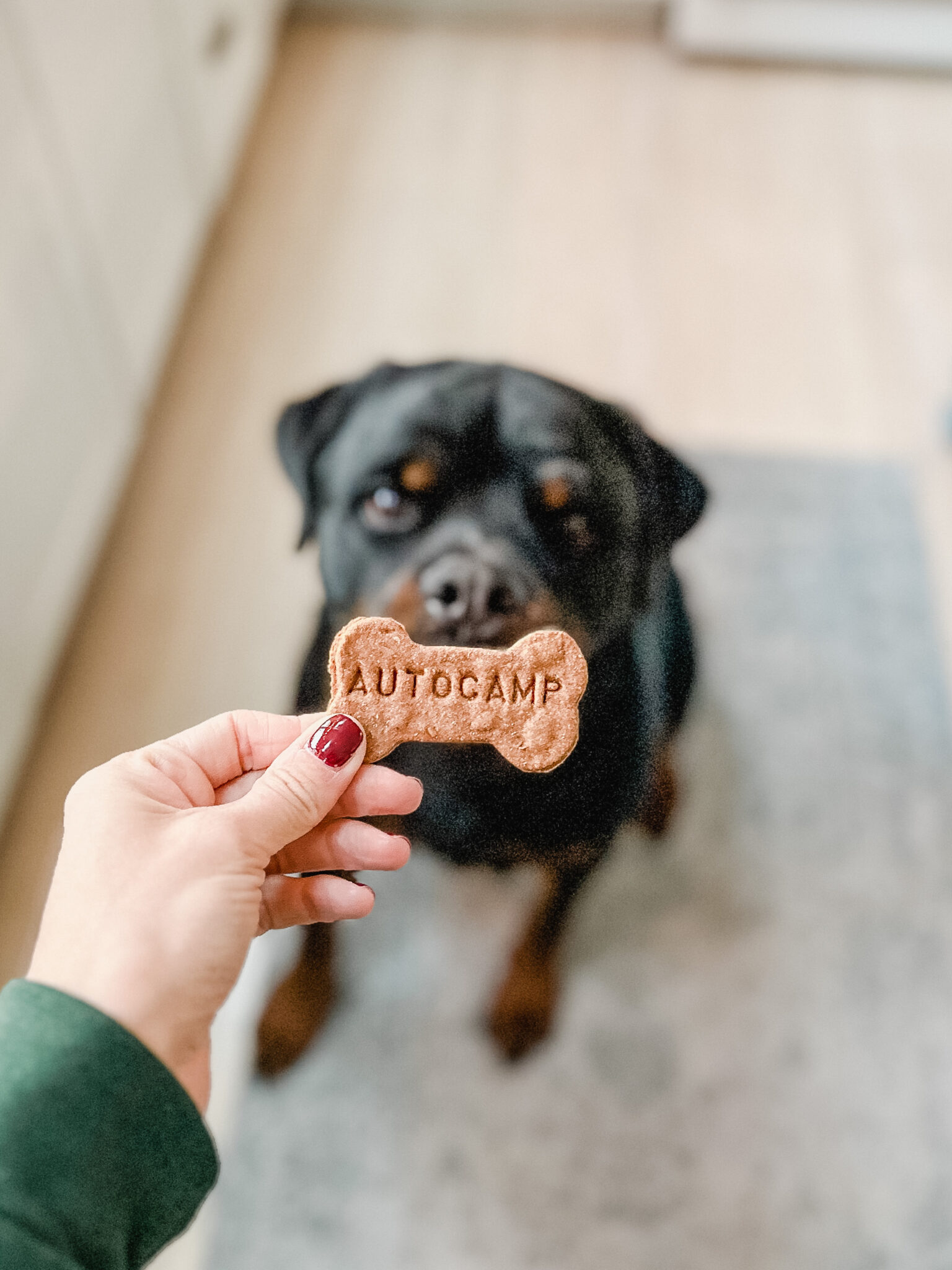 Family Weekend at Auto Camp Cape Cod - Lauren McBride