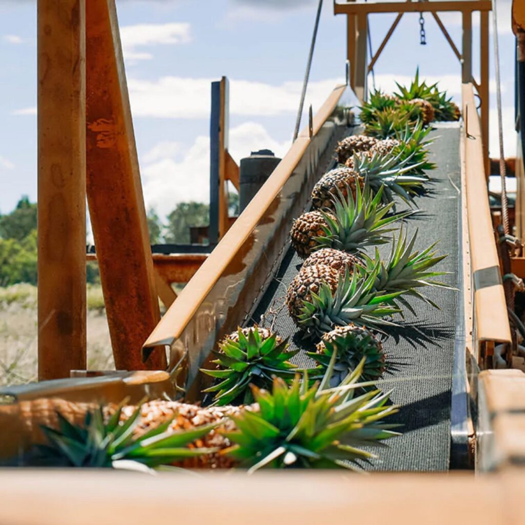 Shop Small This Mother's Day! - Lauren McBride